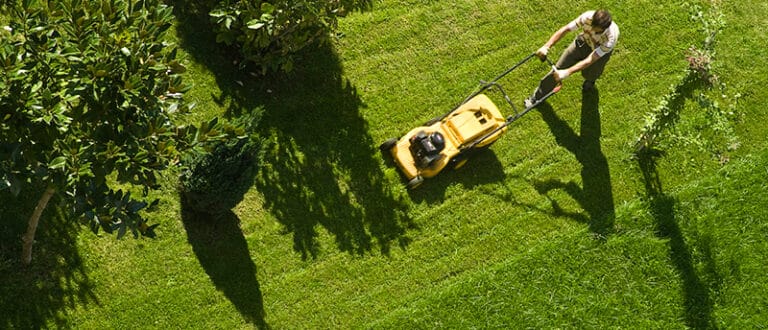 A Guide to Grass Cutting in Summer for a Beautiful Lawn
